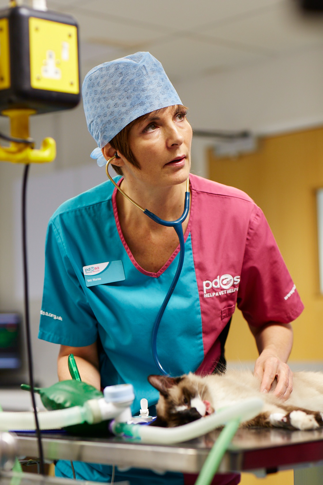 Job: Small Animal Vet Croydon PDSA - VetSurgeon.org